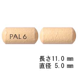 インヴェガ錠6mgの添付文書 - 医薬情報QLifePro