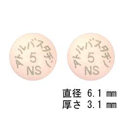 アトルバスタチン錠5mg「NS」の添付文書 - 医薬情報QLifePro