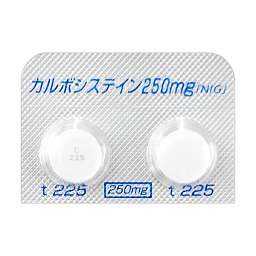 カルボシステイン錠250mg「NIG」の添付文書 - 医薬情報QLifePro