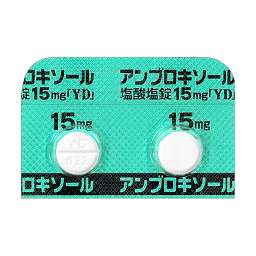 アンブロキソール塩酸塩錠15mg「YD」の添付文書 - 医薬情報QLifePro