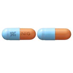 ミコフェノール酸モフェチルカプセル250mg「NIG」の添付文書 - 医薬情報QLifePro