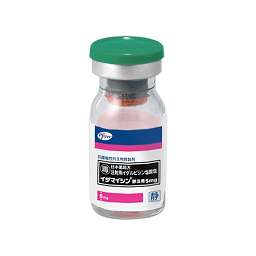 イダマイシン静注用5mgの添付文書 - 医薬情報QLifePro