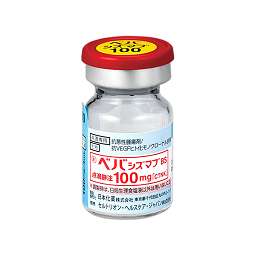 ベバシズマブBS点滴静注100mg「CTNK」の添付文書 - 医薬情報QLifePro