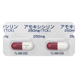 アモキシシリンカプセル250mg「TCK」の添付文書 - 医薬情報QLifePro