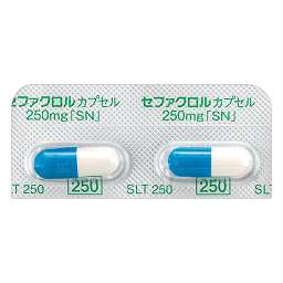 セファクロルカプセル250mg「SN」の添付文書 - 医薬情報QLifePro