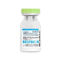 セファゾリンNa注射用0．25g「タイヨー」の添付文書 - 医薬情報QLifePro