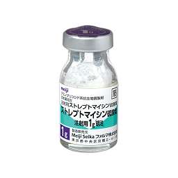 ストレプトマイシン硫酸塩注射用1g「明治」の添付文書 - 医薬情報QLifePro