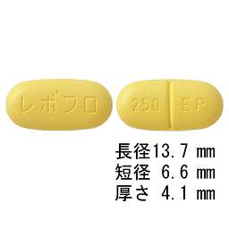 レボフロキサシン錠250mg「DSEP」の添付文書 - 医薬情報QLifePro