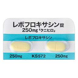 レボフロキサシン錠250mg「クニヒロ」の添付文書 - 医薬情報QLifePro