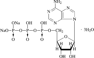 ATP腸溶錠20mg「AFP」の添付文書 - 医薬情報QLifePro